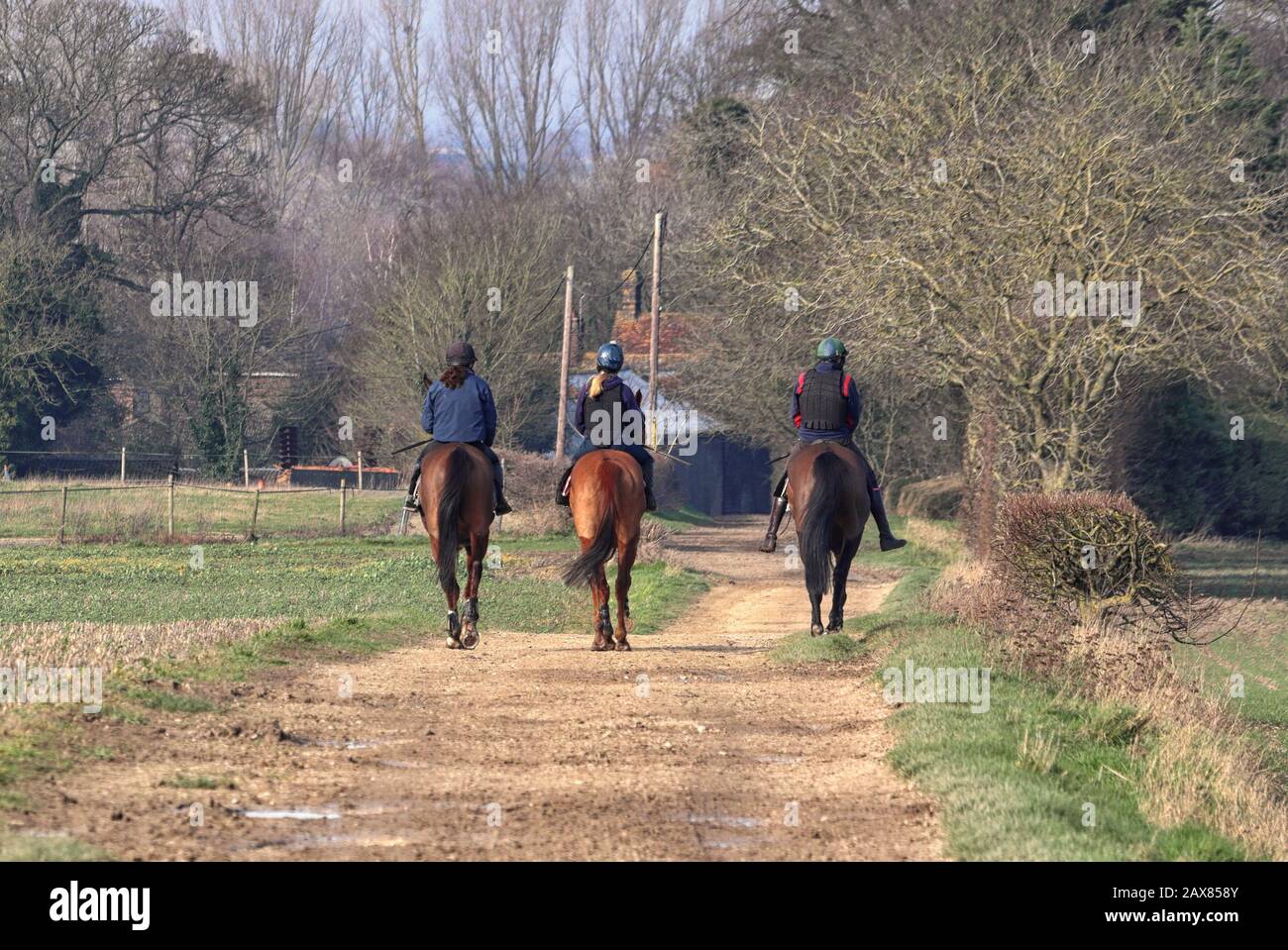 Horse riders on woodland track hi-res stock photography and images - Alamy