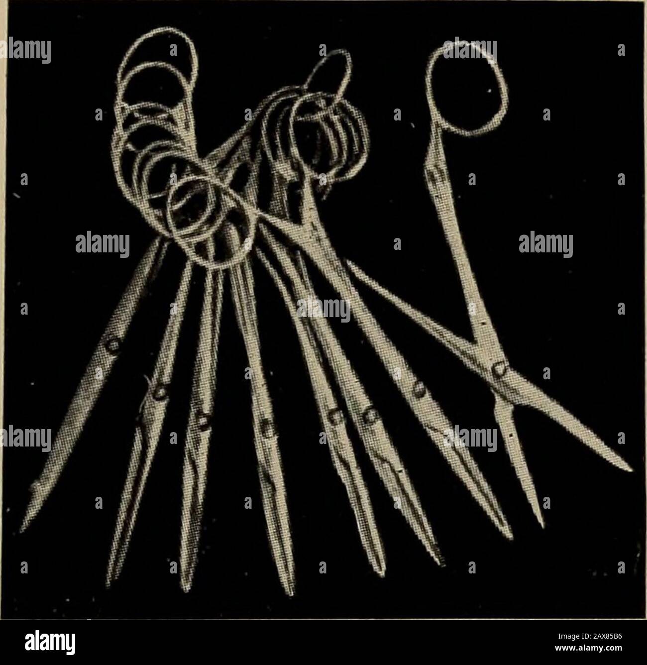 Ring forceps hi-res stock photography and images - Alamy