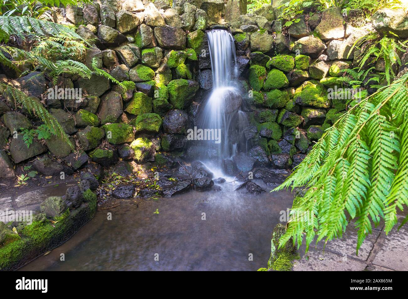 Leaves in a waterfall close up hi-res stock photography and images - Alamy