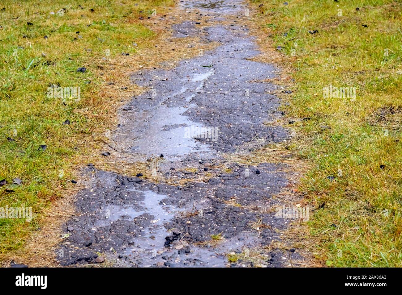 Puddle with raind rops on the path Stock Photo - Alamy