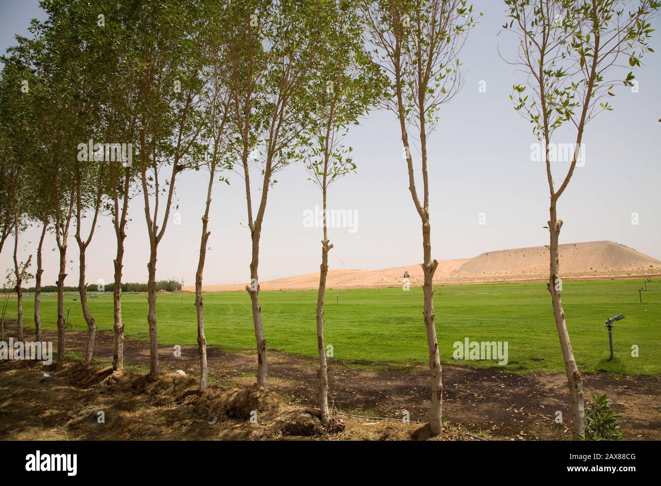Agriculture in the UAE Stock Photo - Alamy