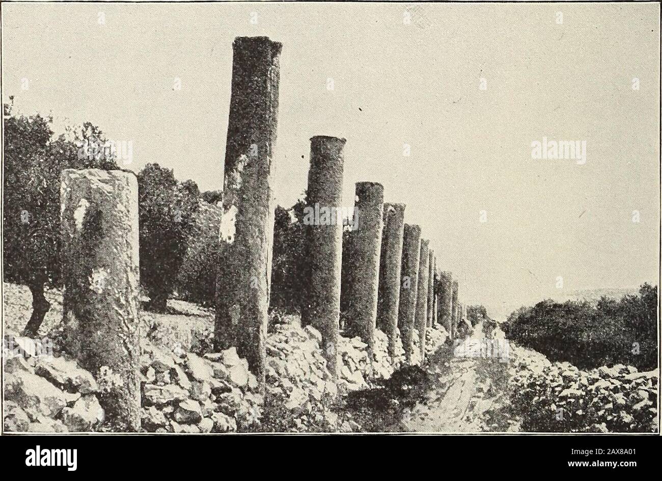 Syria from the saddle . Site of Ancient Samaria. this hill once stood ...