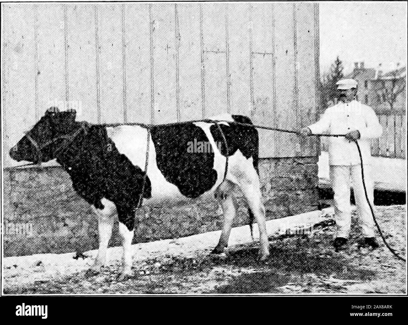 Punctured wire Black and White Stock Photos & Images - Alamy
