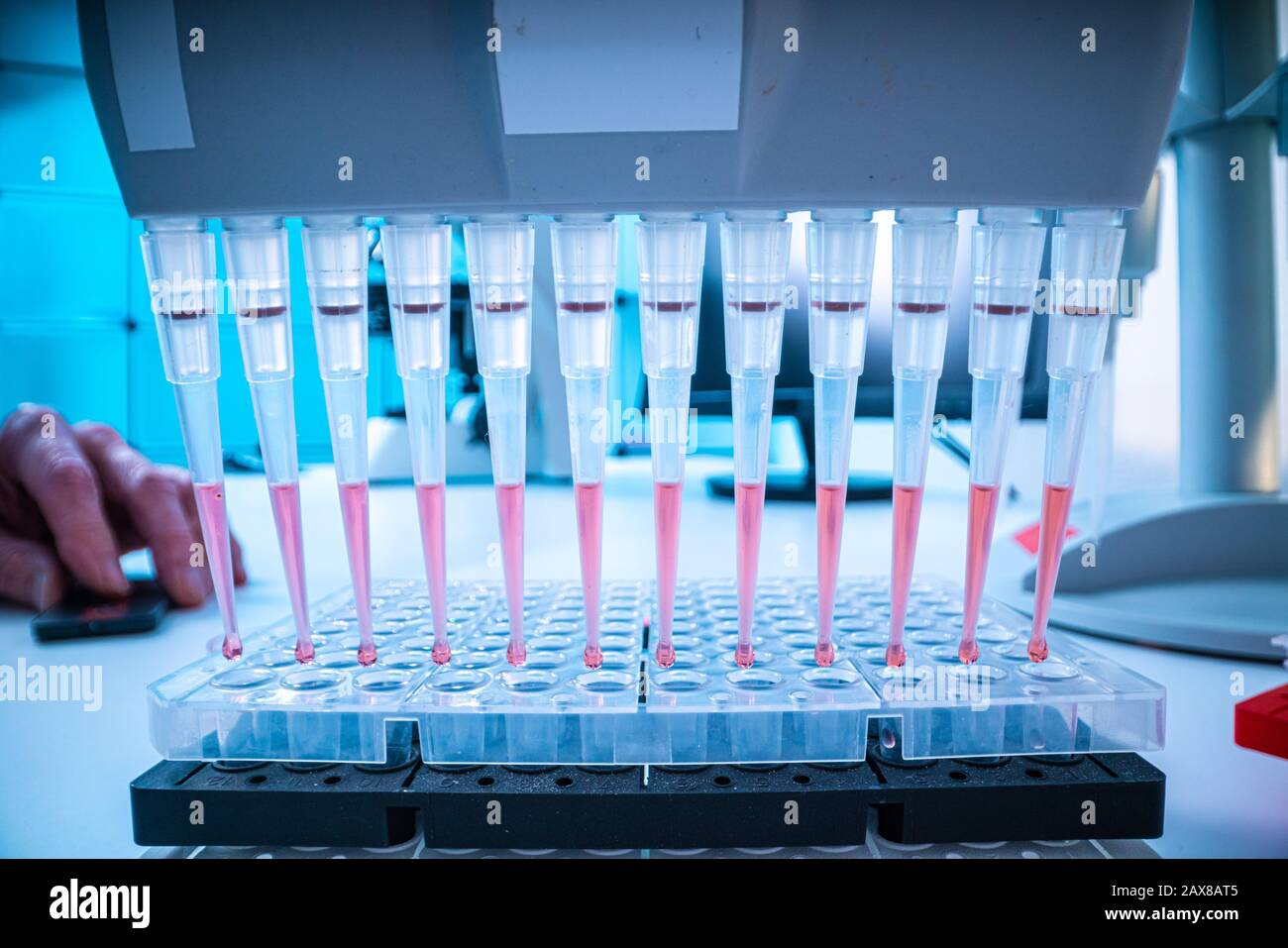 sample of biological sample for DNA analysis Stock Photo - Alamy