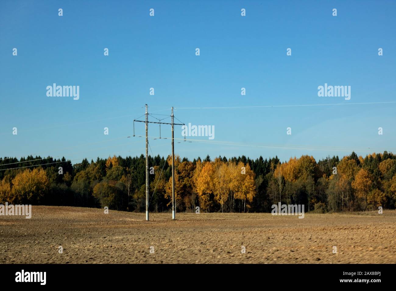 Autumn forest landscape with yellow trees and field Stock Photo - Alamy