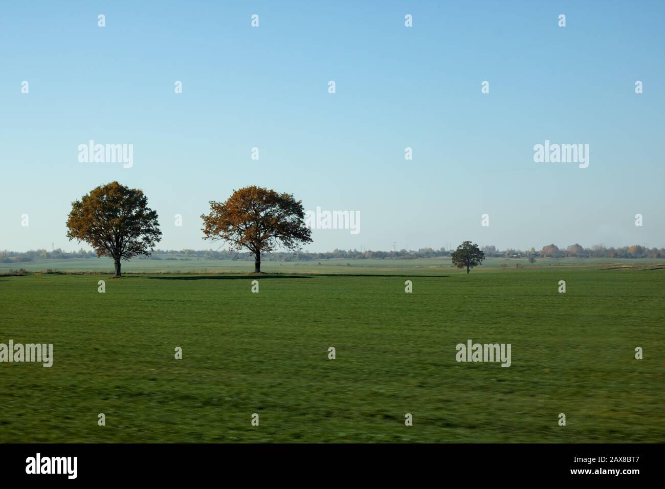 Three leafy trees hi-res stock photography and images - Alamy