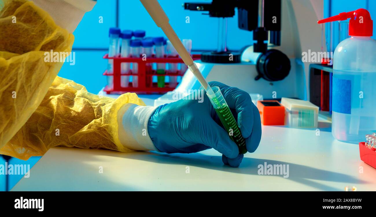 scientific experiment in microbiology laboratory. pipetting genetic ...