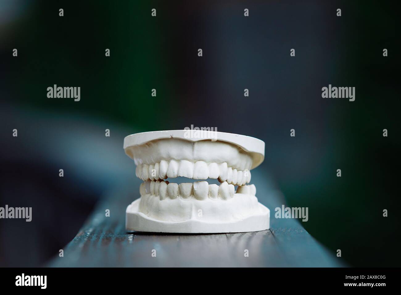 Plastic dental model hi-res stock photography and images - Alamy