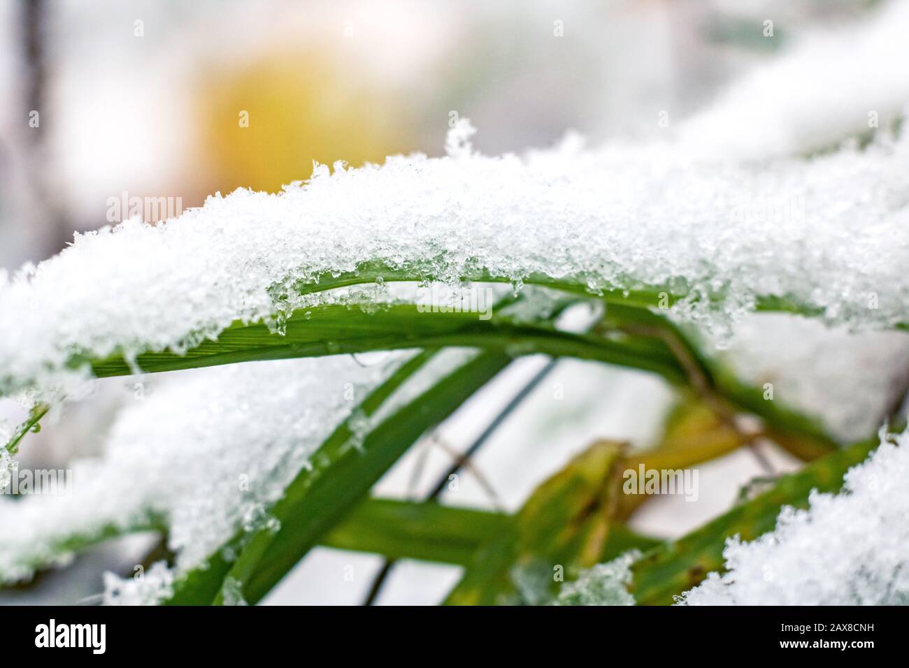 Sleet and snow hi-res stock photography and images - Alamy