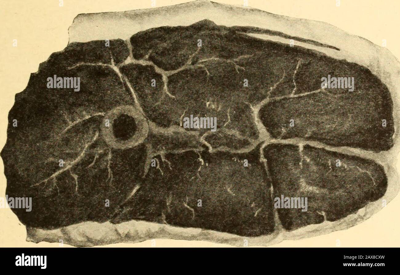 Hrst course hi-res stock photography and images - Alamy