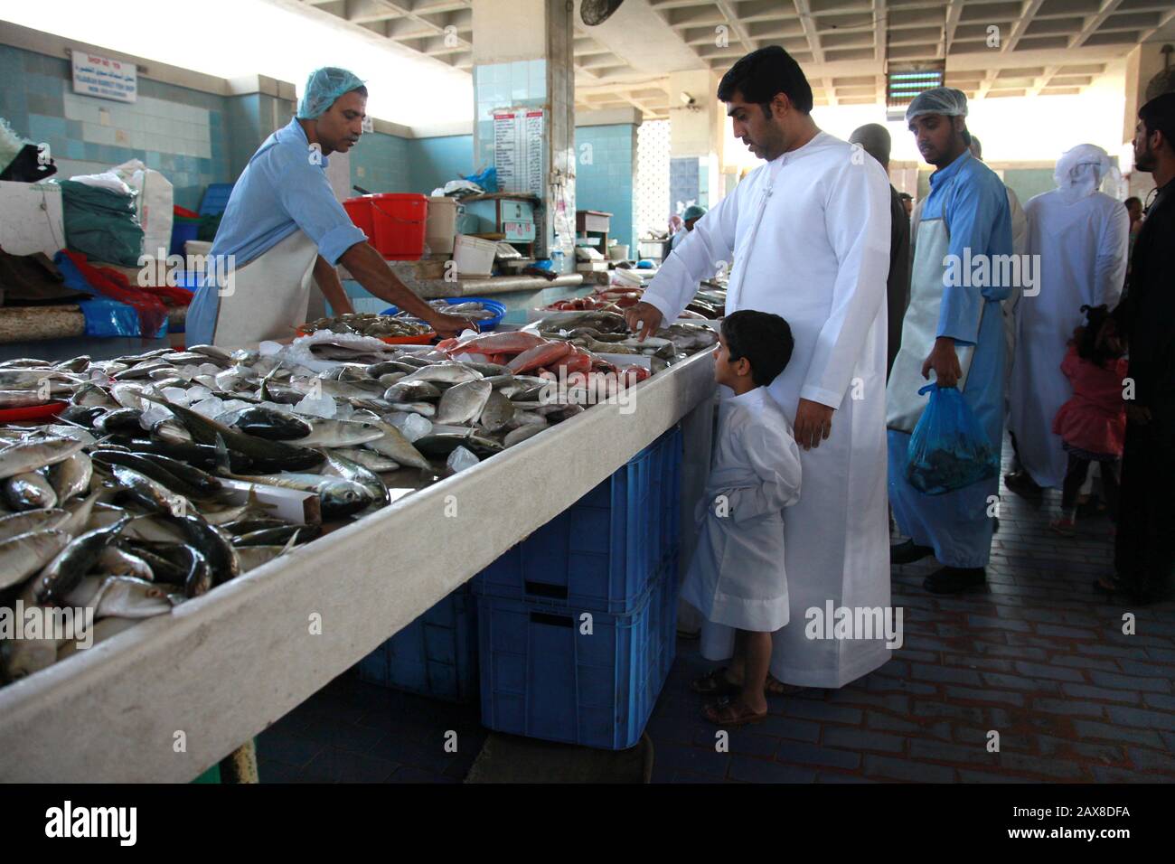 A father and son shop at the Fujairah fish market Stock Photo - Alamy