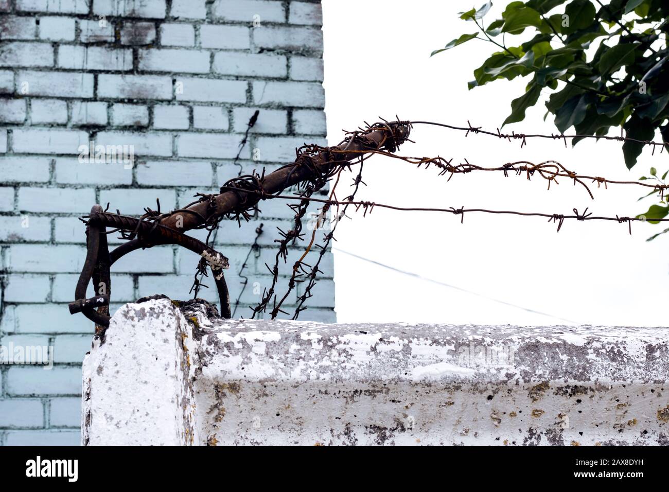 Metal barbed wire on the fence Stock Photo - Alamy