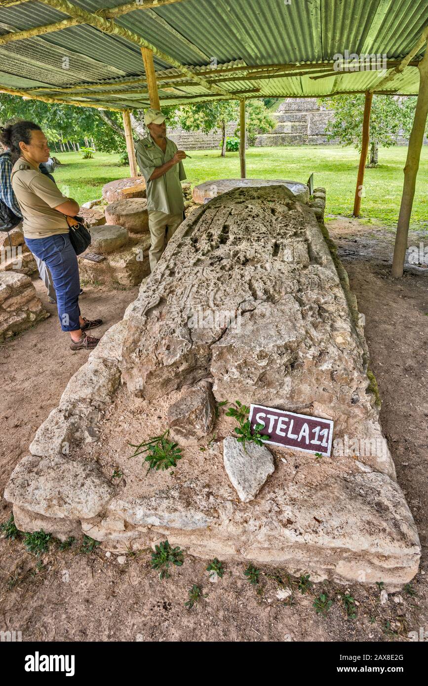 Stela at Caracol, Mayan ruins, Chiquibul Plateau, Cayo District, Belize ...