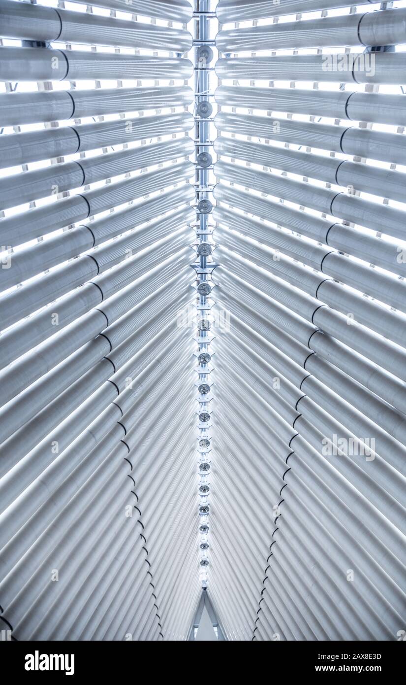 Interior of the Transitional Cathedral of Christchurch, constructed ...