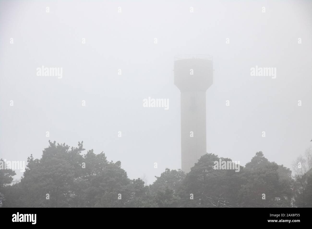 Tree tops and Tower in the Fog Stock Photo - Alamy
