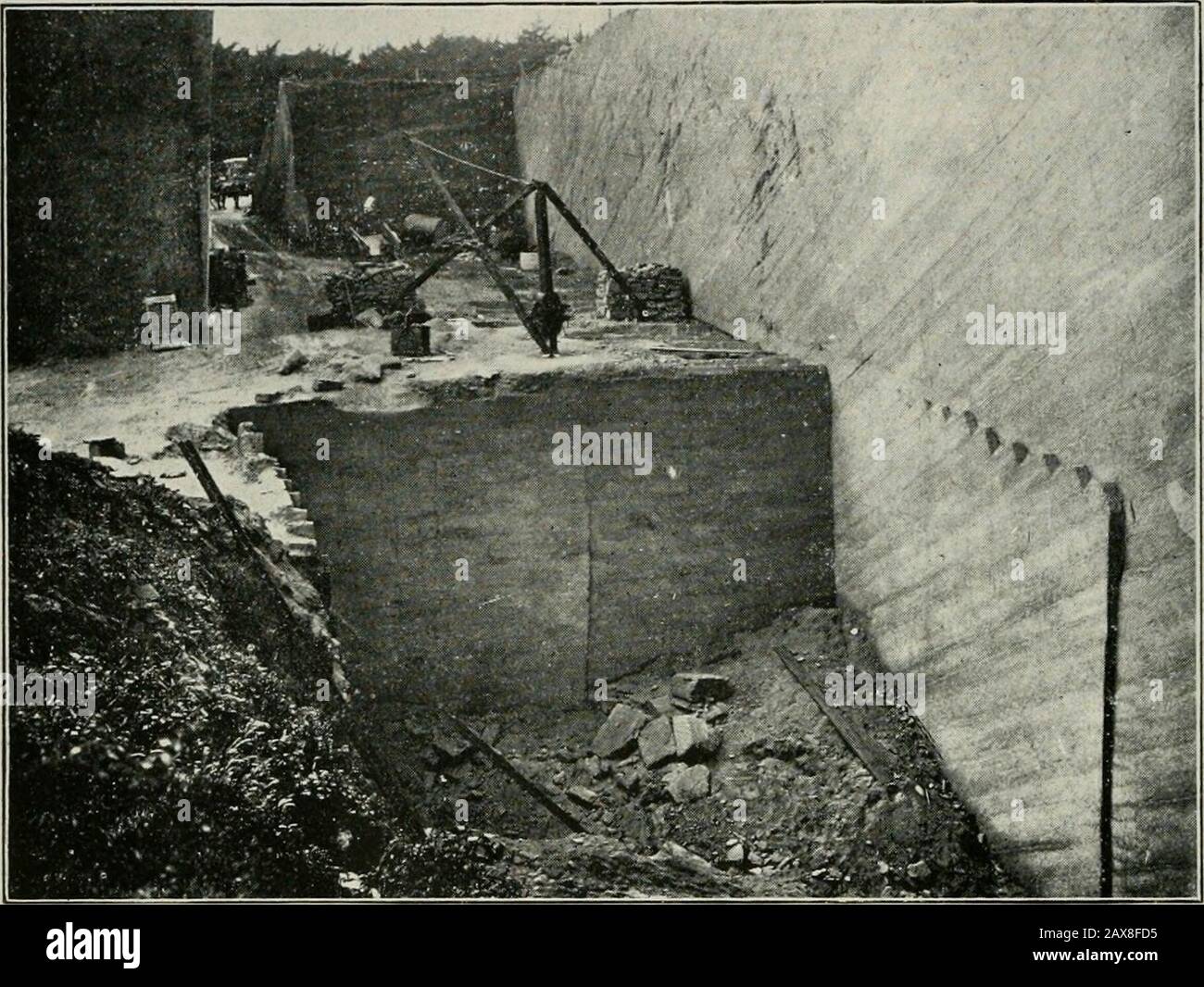 Seaor hi-res stock photography and images - Alamy