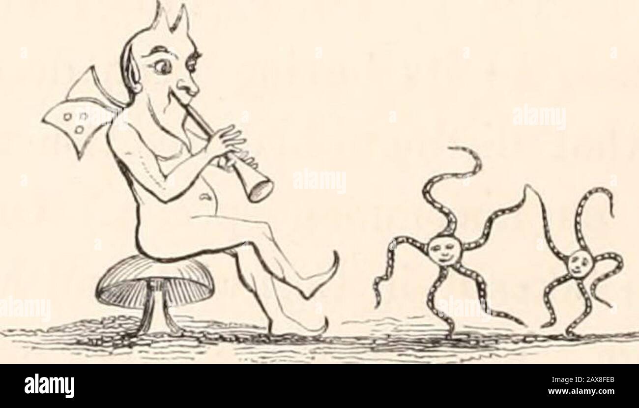 Ophiur hi-res stock photography and images - Alamy