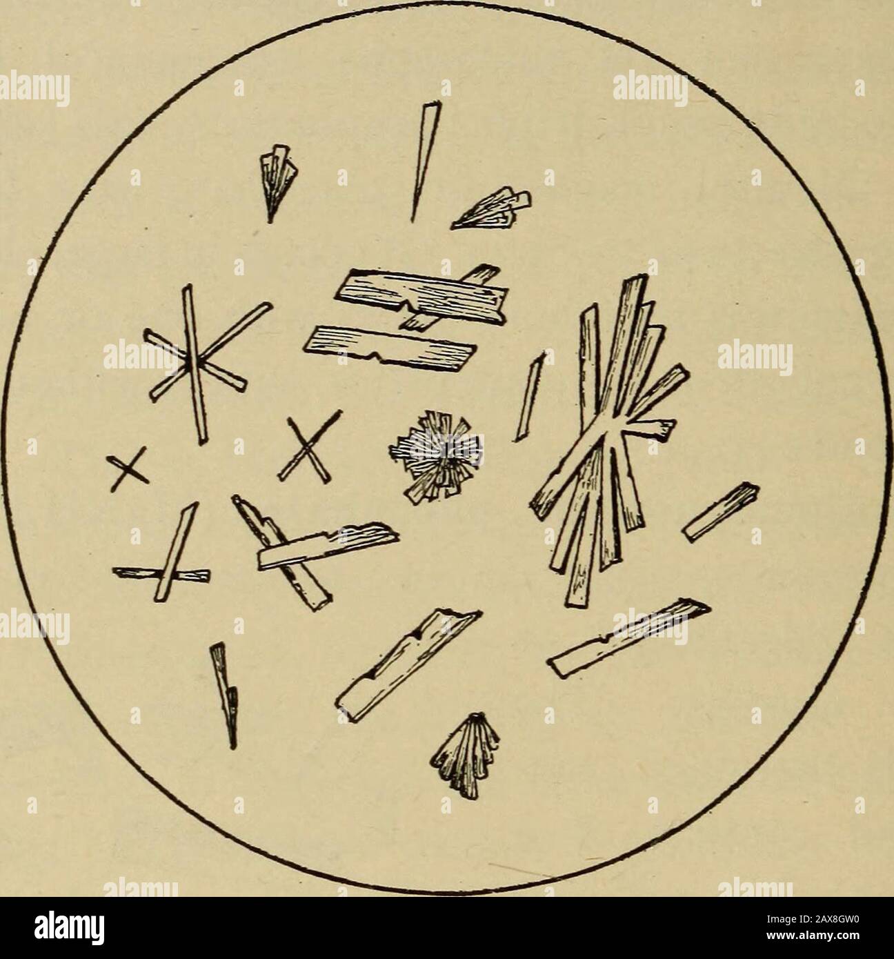 Examination of the urine; a manual for students and practitioners . Fig ...