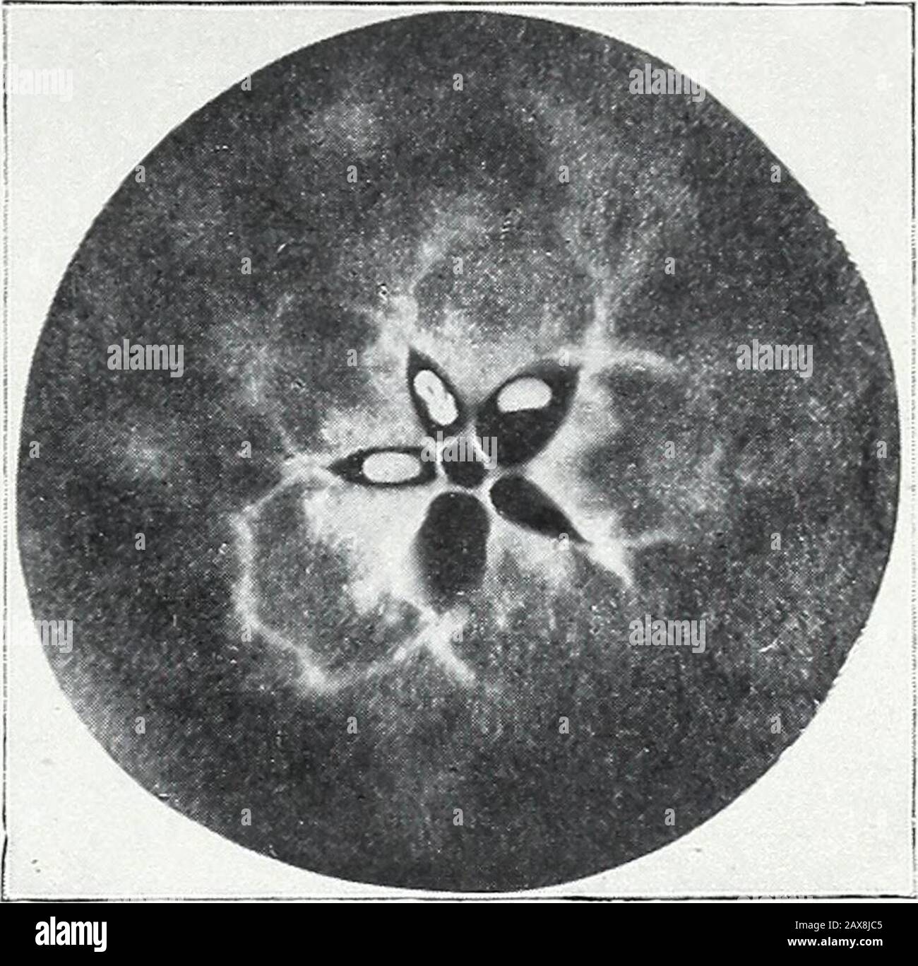 Istorage hi-res stock photography and images - Alamy