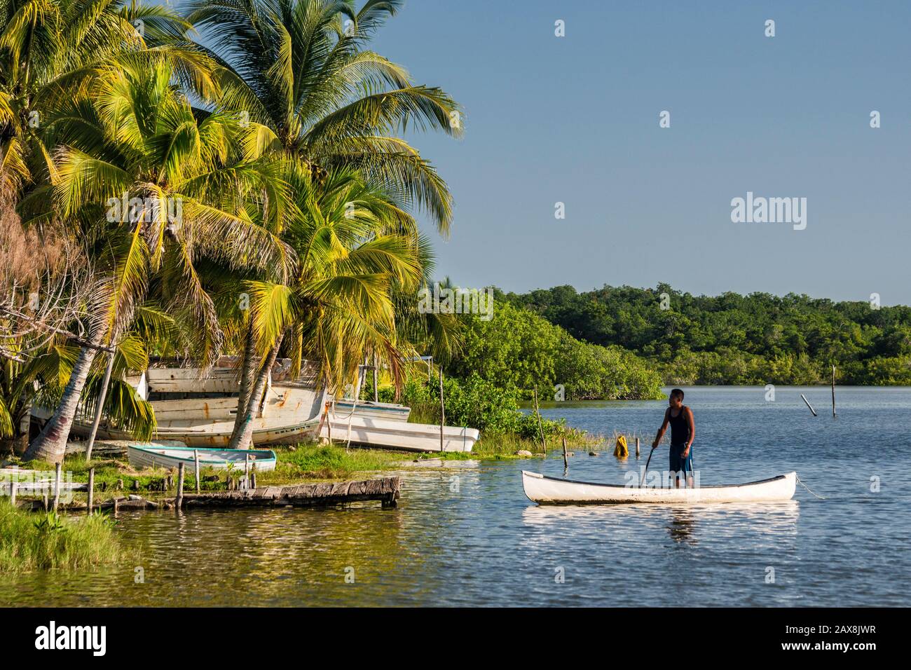 Maya man in canoe at Chetumal Bay, Caribbean Sea coast, village of ...