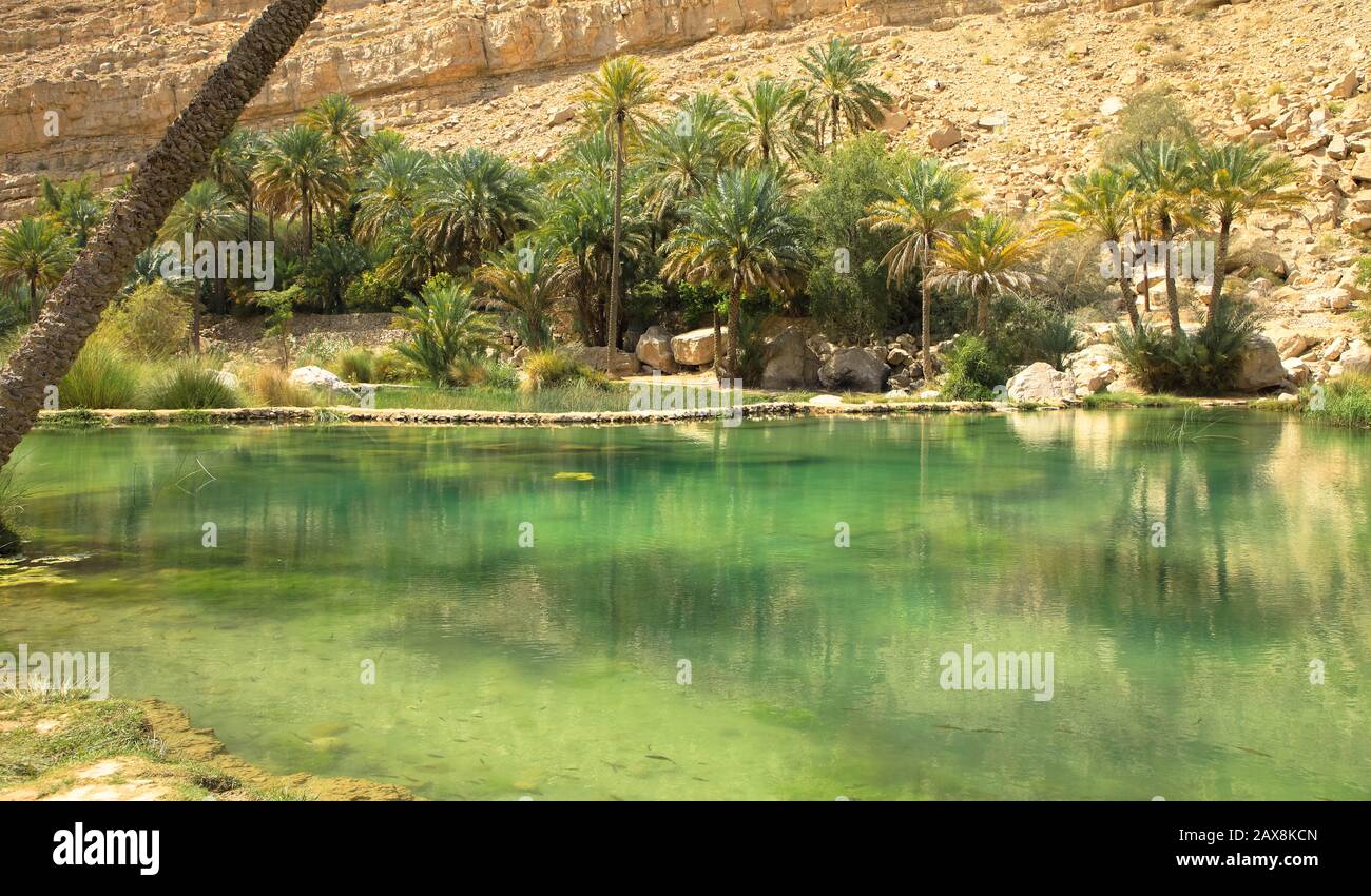 Beautiful Wadi Bani Khalid Oasis in South-East of Oman with palmtrees ...