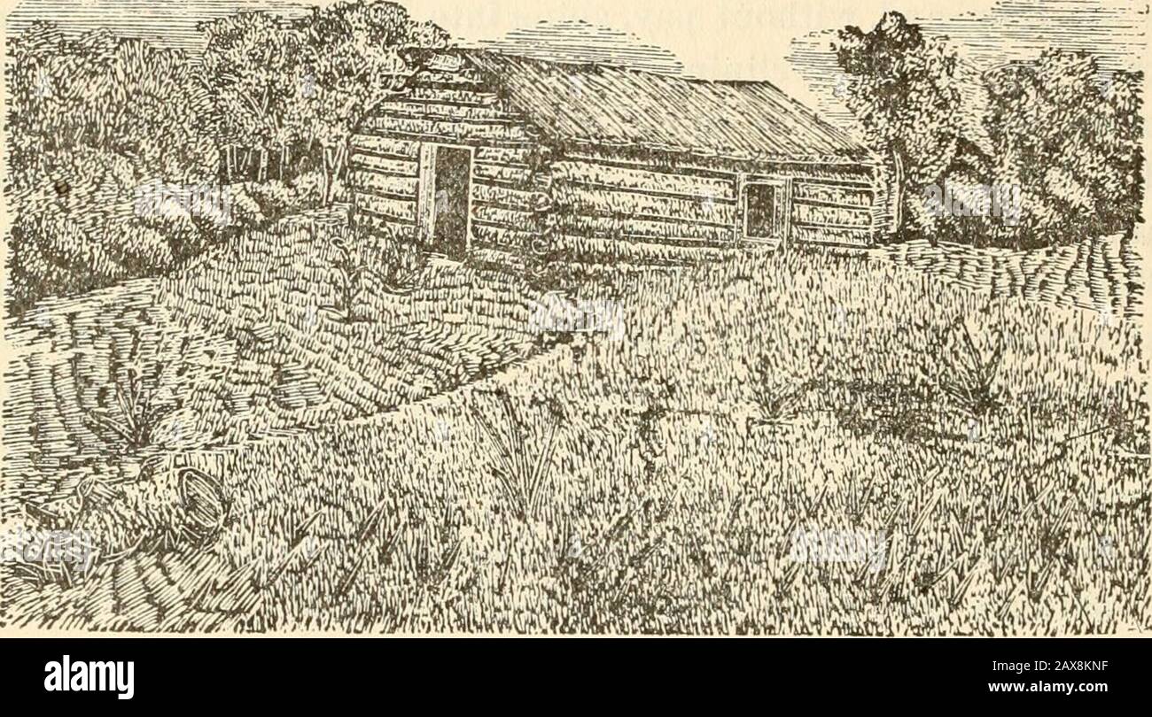 Michigan historical collections . s river, they forded it at the old ...