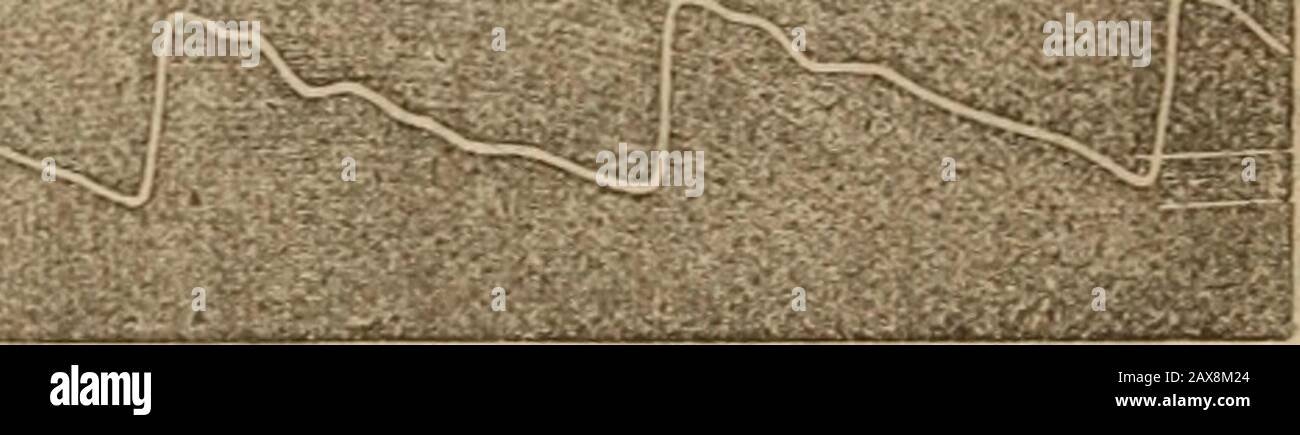 Fig mania hi-res stock photography and images - Alamy