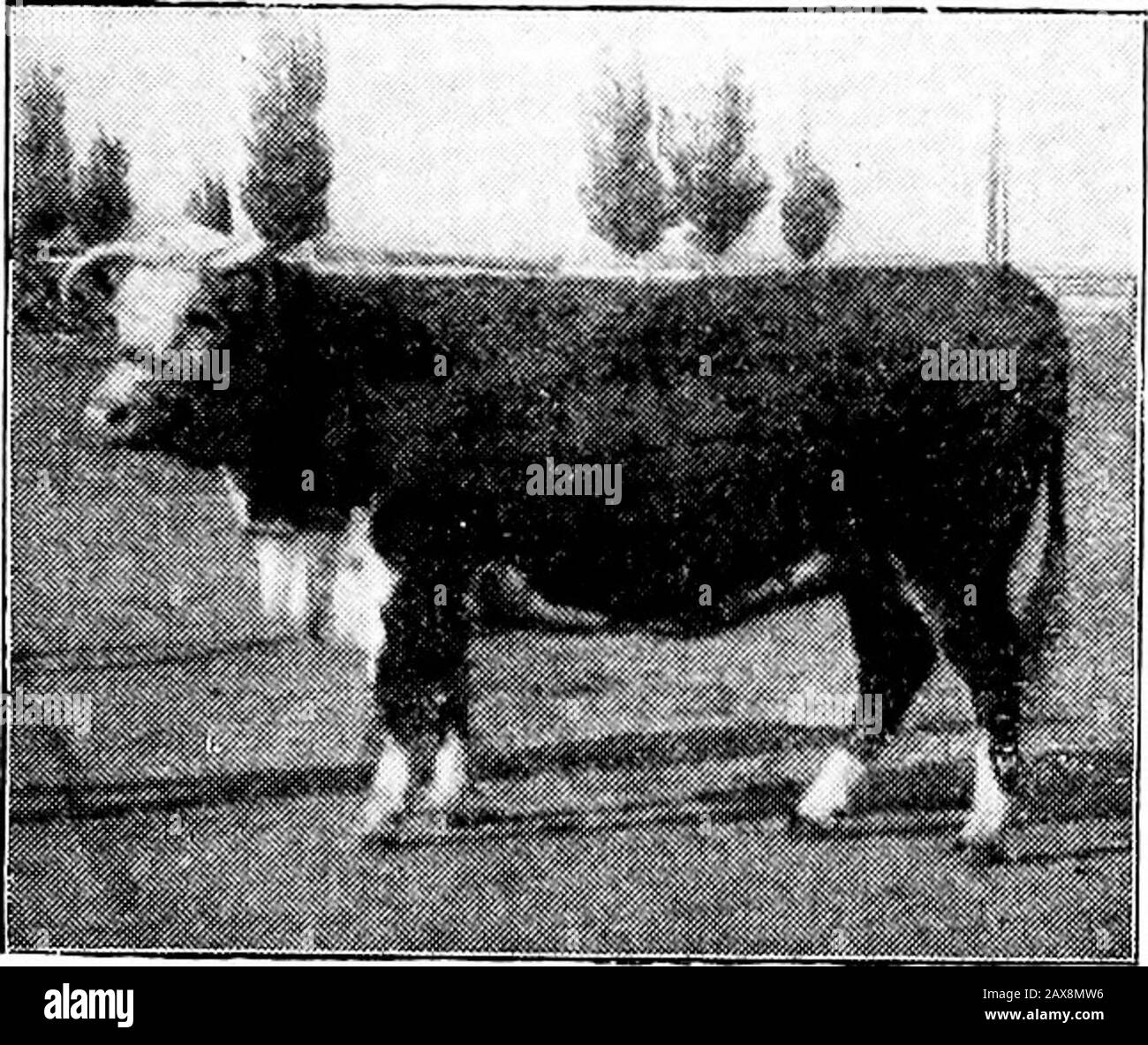 Angus roberts Black and White Stock Photos & Images - Alamy