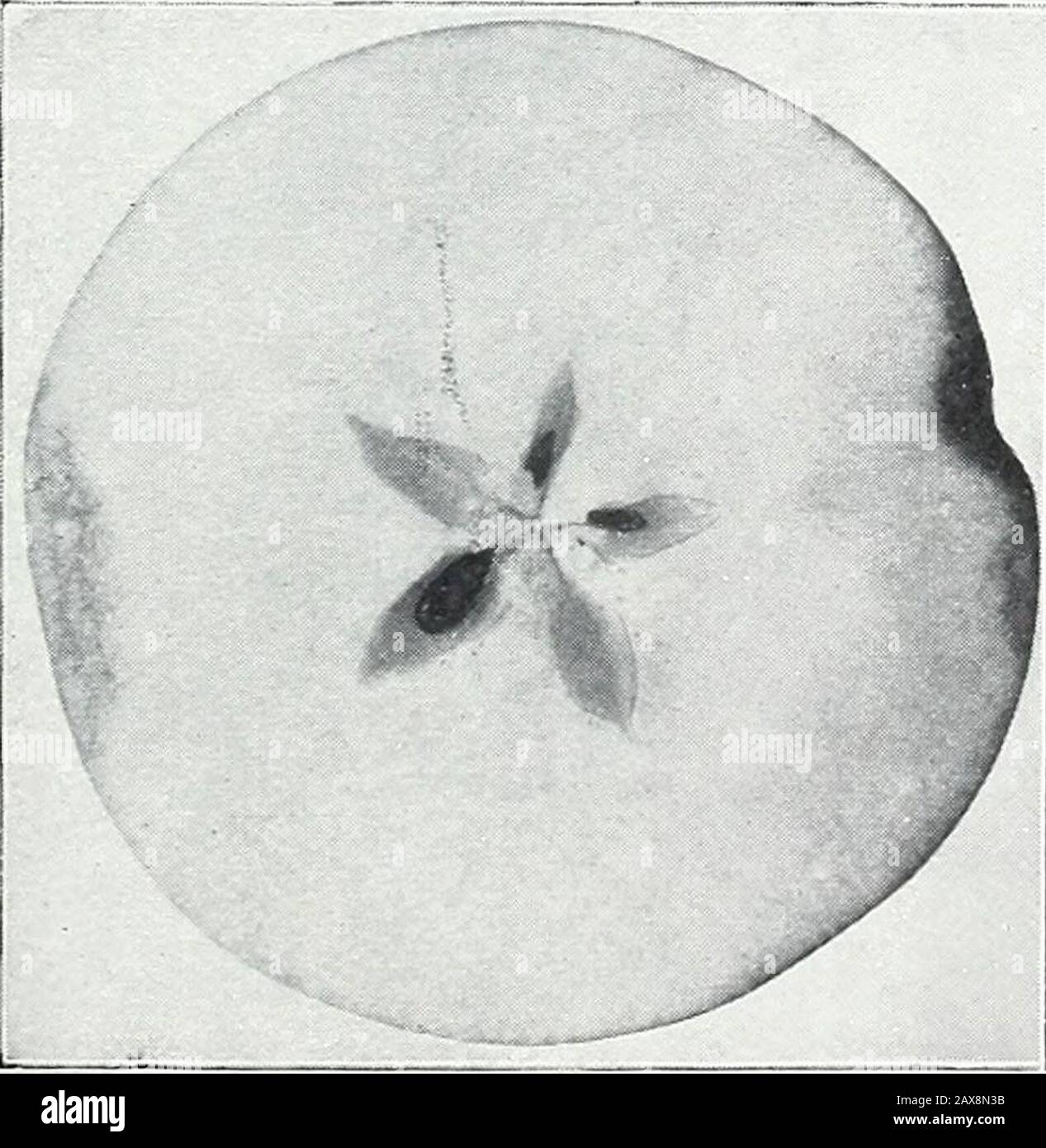 Istorage hi-res stock photography and images - Alamy