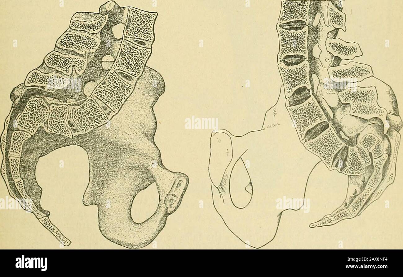 The practice of obstetrics, designed for the use of students and ...