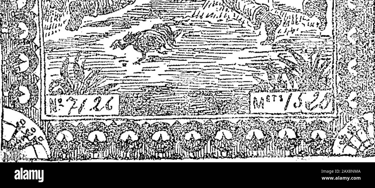 Leefe High Resolution Stock Photography and Images - Alamy