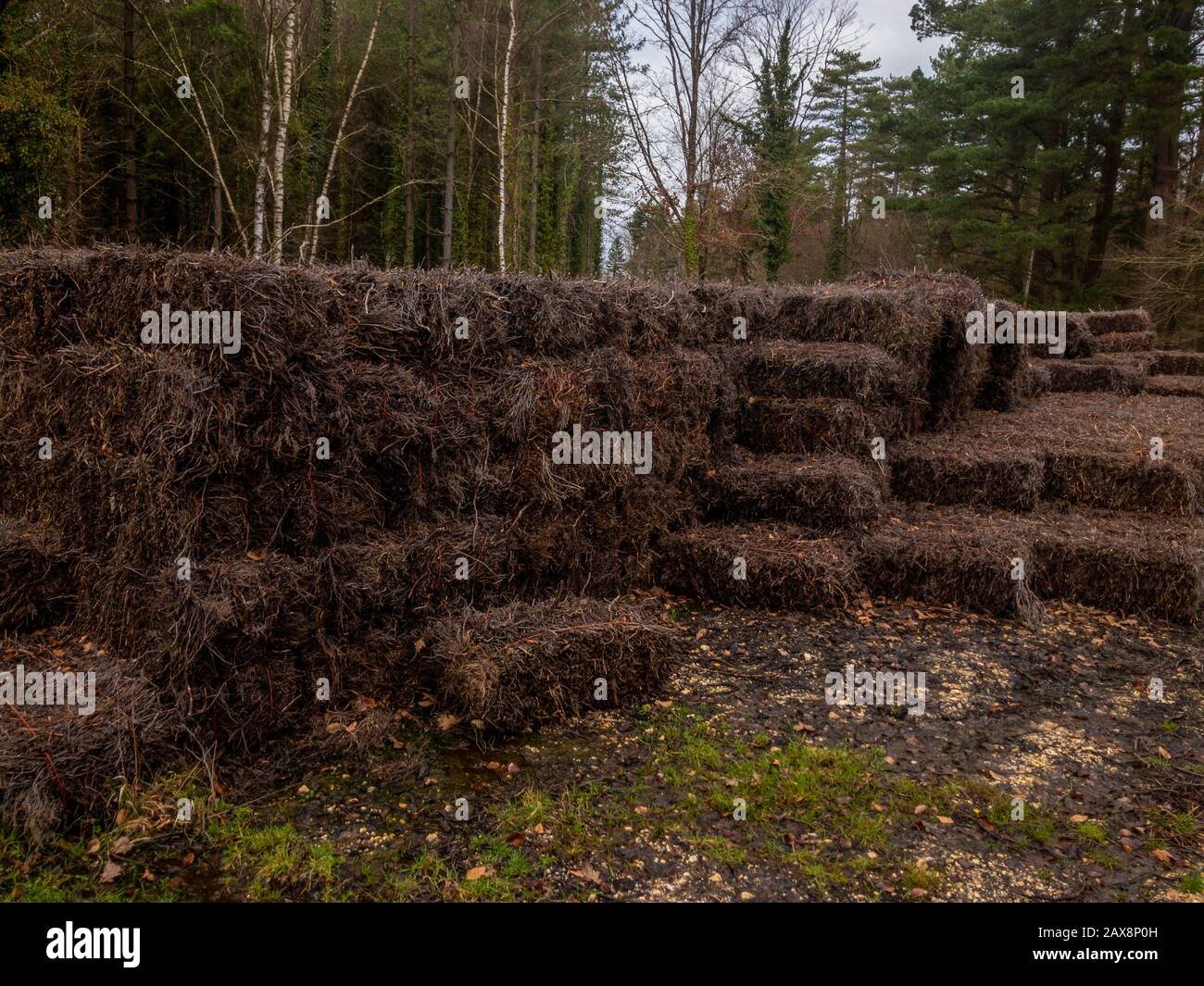 Harvest energy hi-res stock photography and images - Alamy