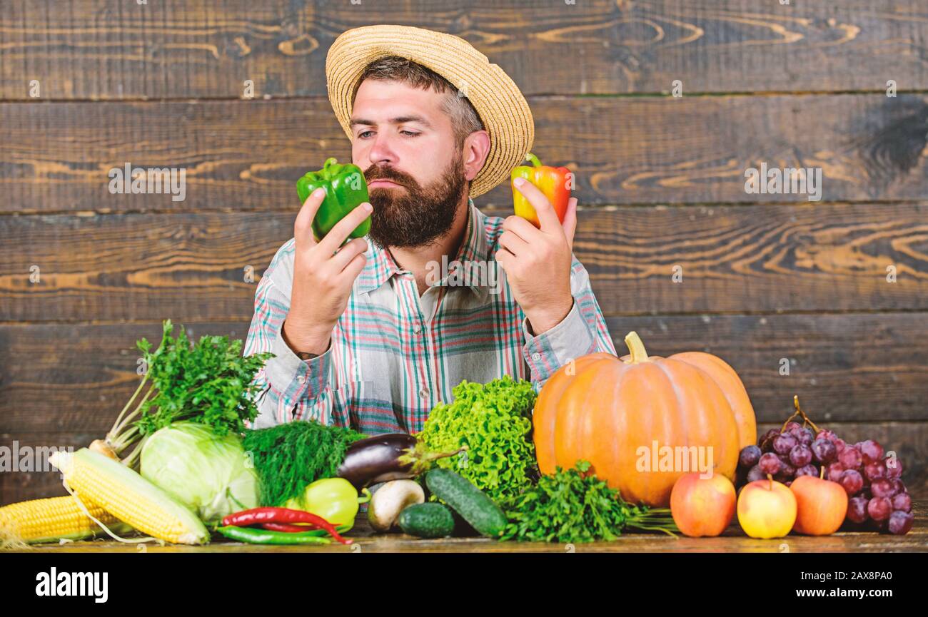 Grocery shop concept. Buy fresh homegrown vegetables. Man with beard ...