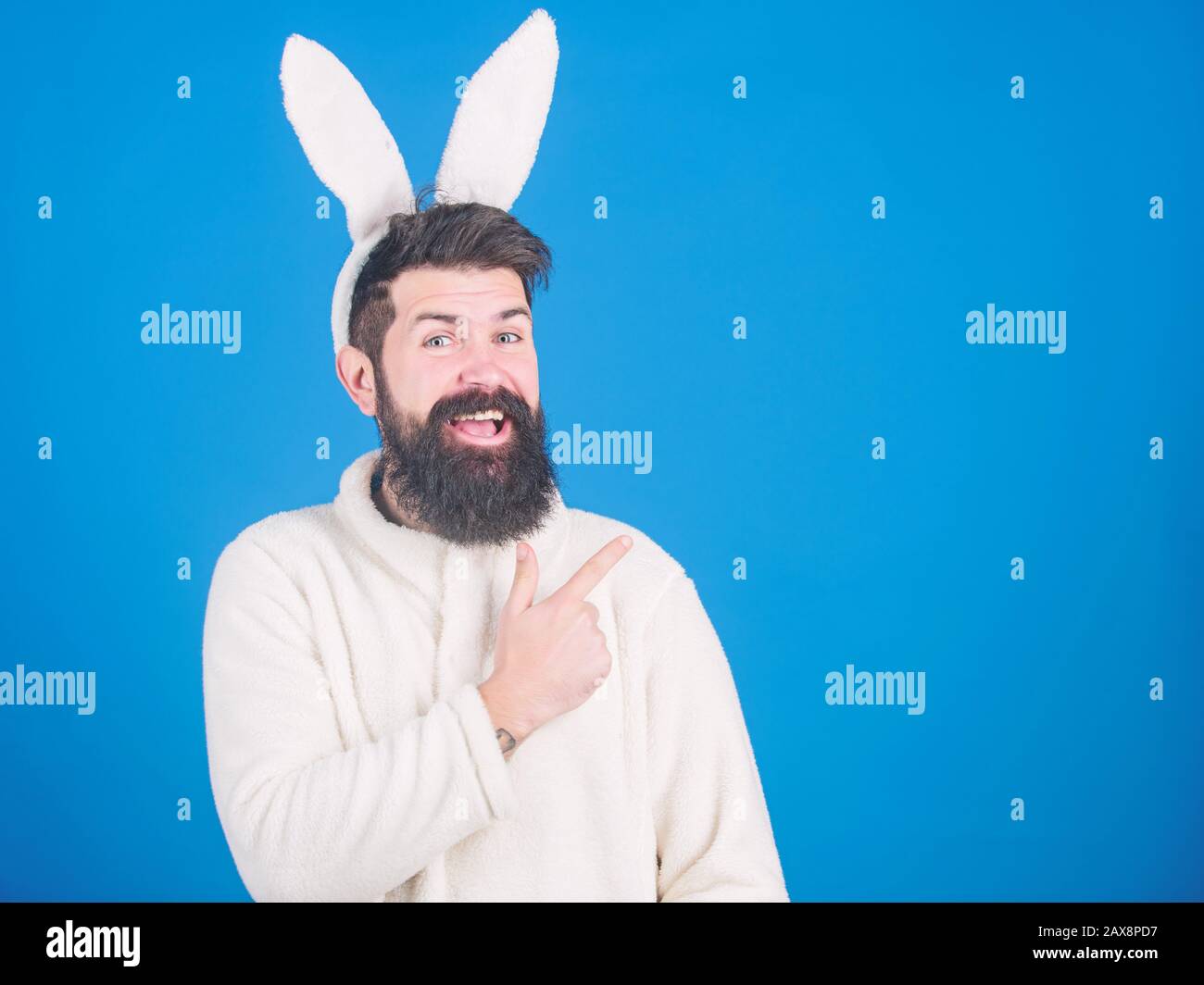 Presenting your product. Easter hare pointing finger aside. Bearded man ...