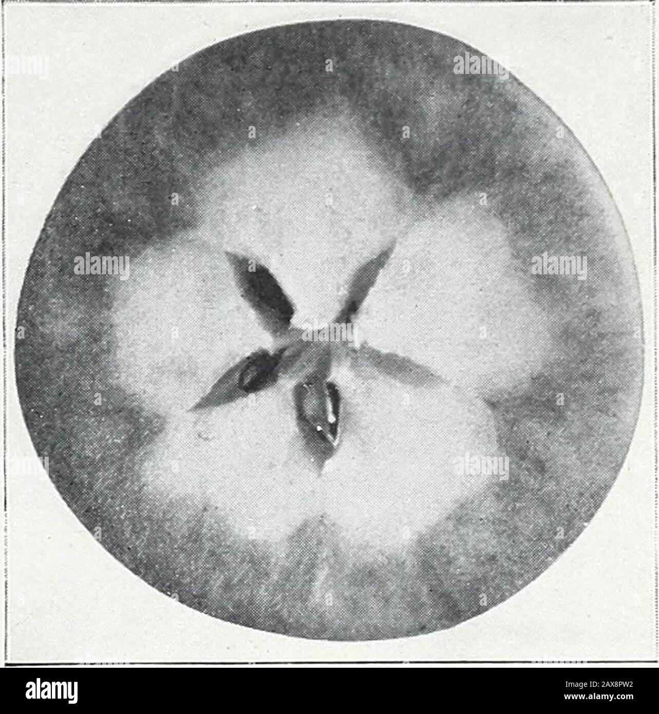 Istorage hi-res stock photography and images - Alamy