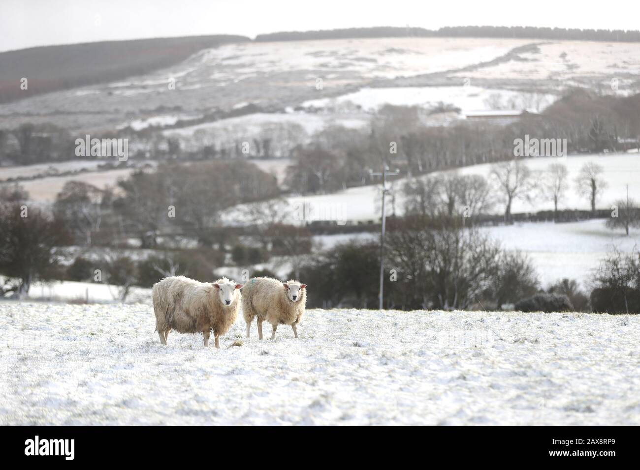 Snow covered fields in Kilteel in County Kildare Stock Photo - Alamy
