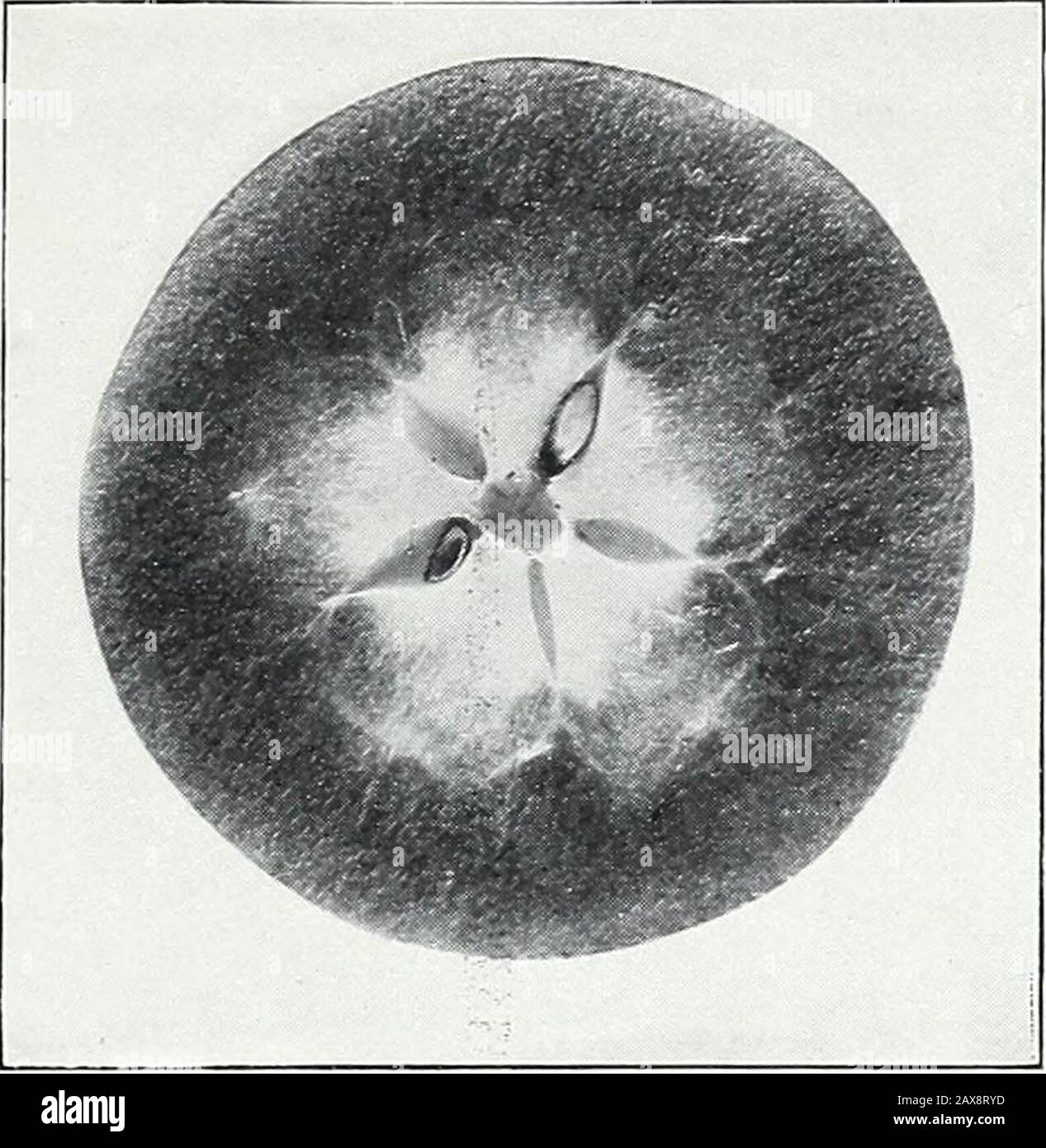 Chemistry dept hi-res stock photography and images - Alamy
