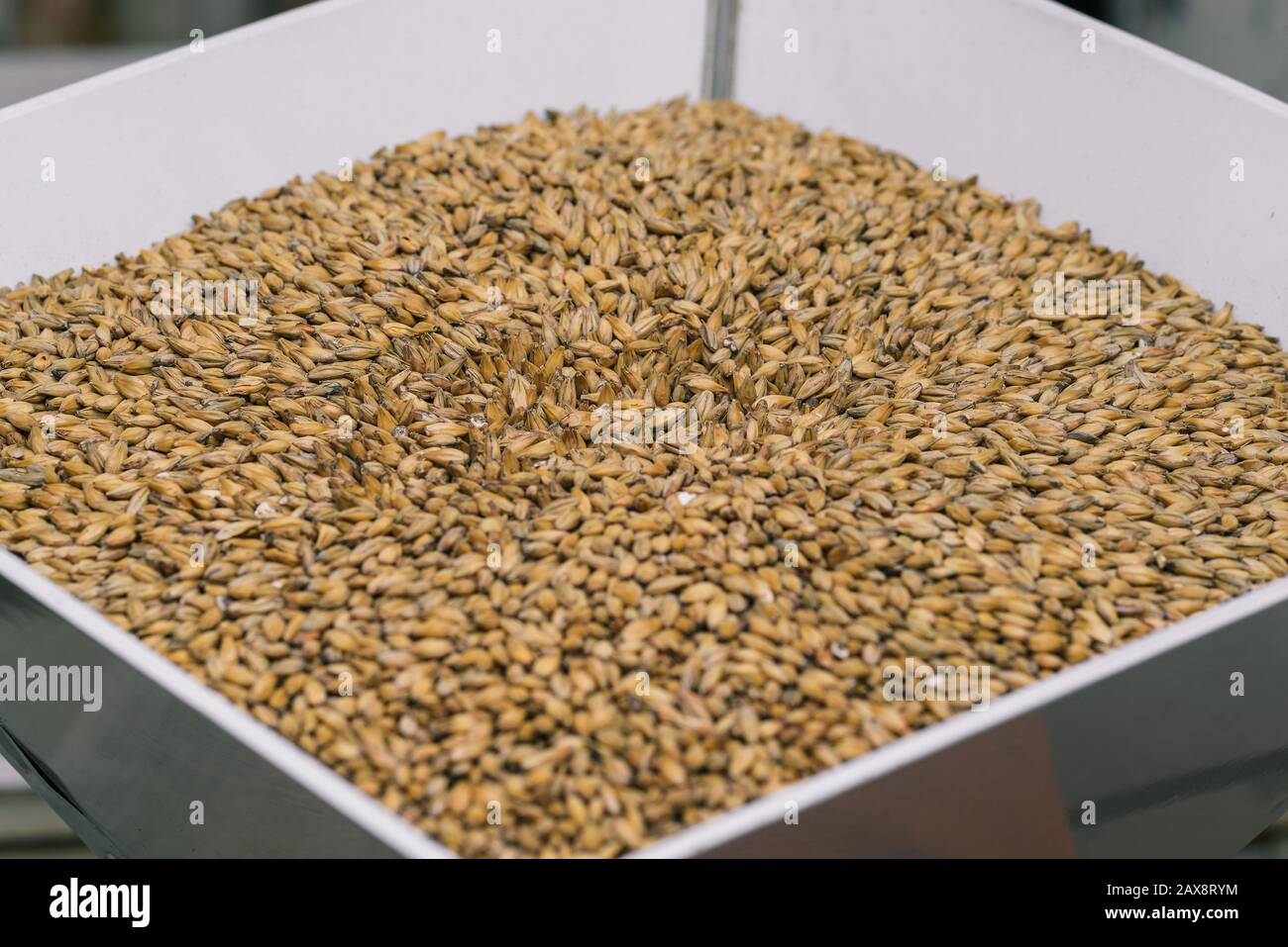 Process of making beer hi-res stock photography and images - Alamy