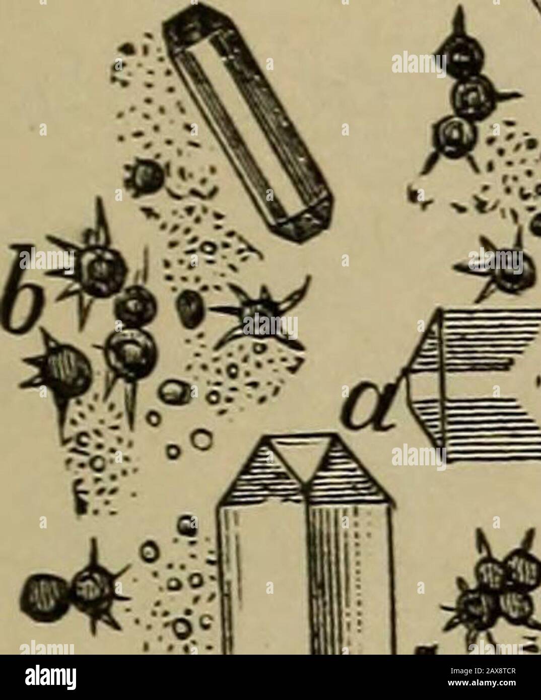 Examination of the urine; a manual for students and practitioners ...