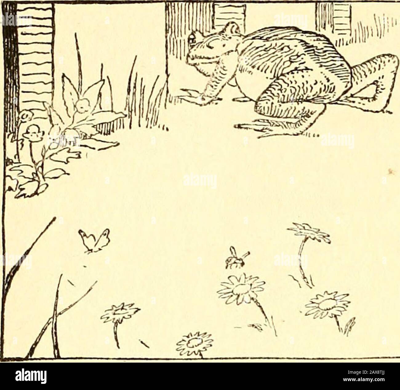 Rat goose hi-res stock photography and images - Alamy