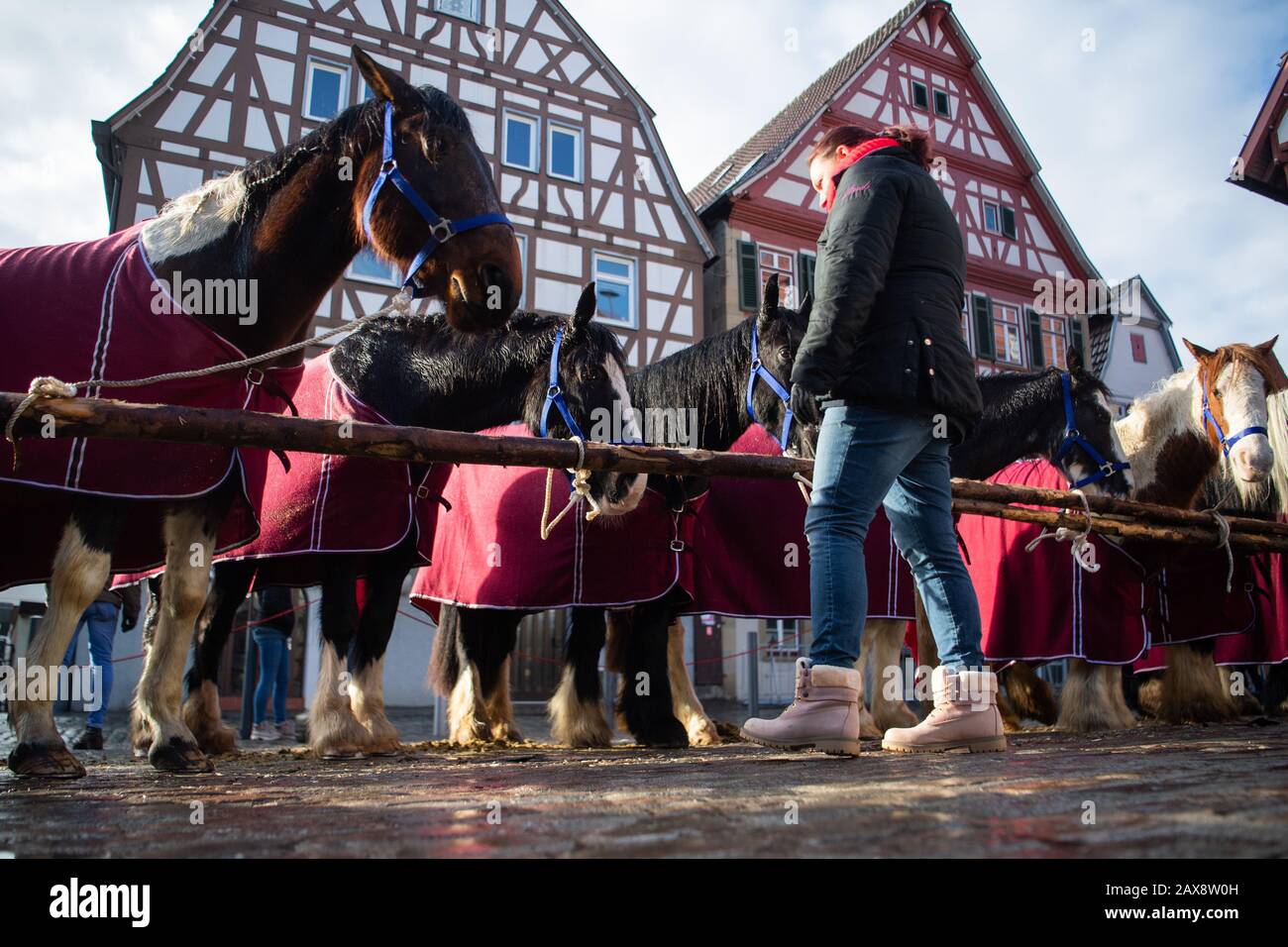 11 February 2020, Baden-Wuerttemberg, Leonberg: A woman looks at horses ...