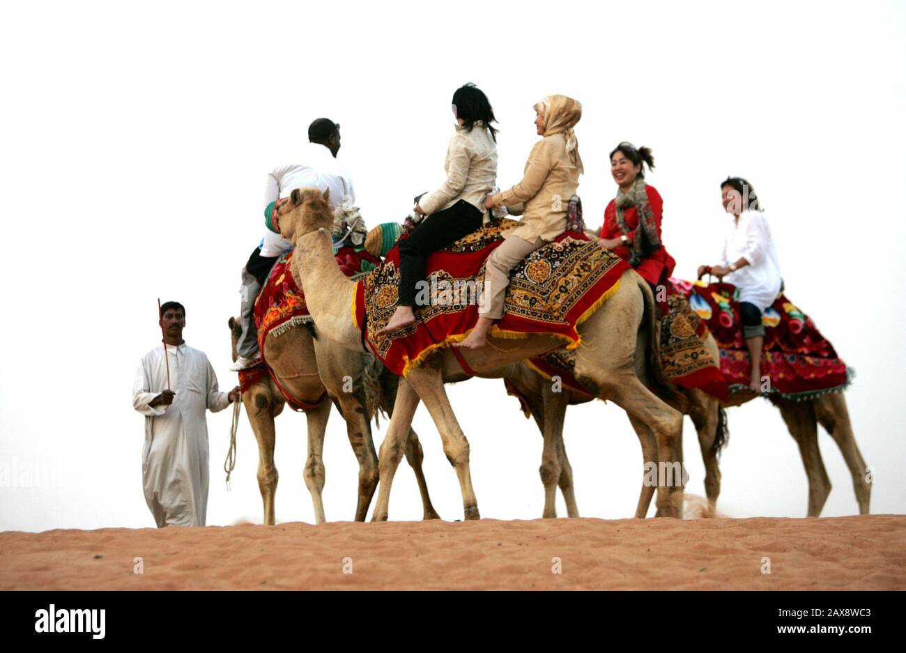 Dubai animal safari hi-res stock photography and images - Alamy