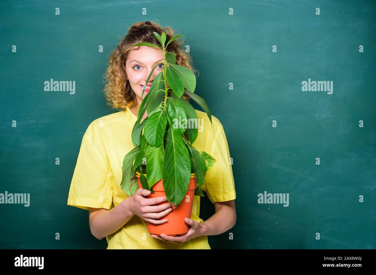 volunteer. tree of knowledge. school learning ecology. environmental ...