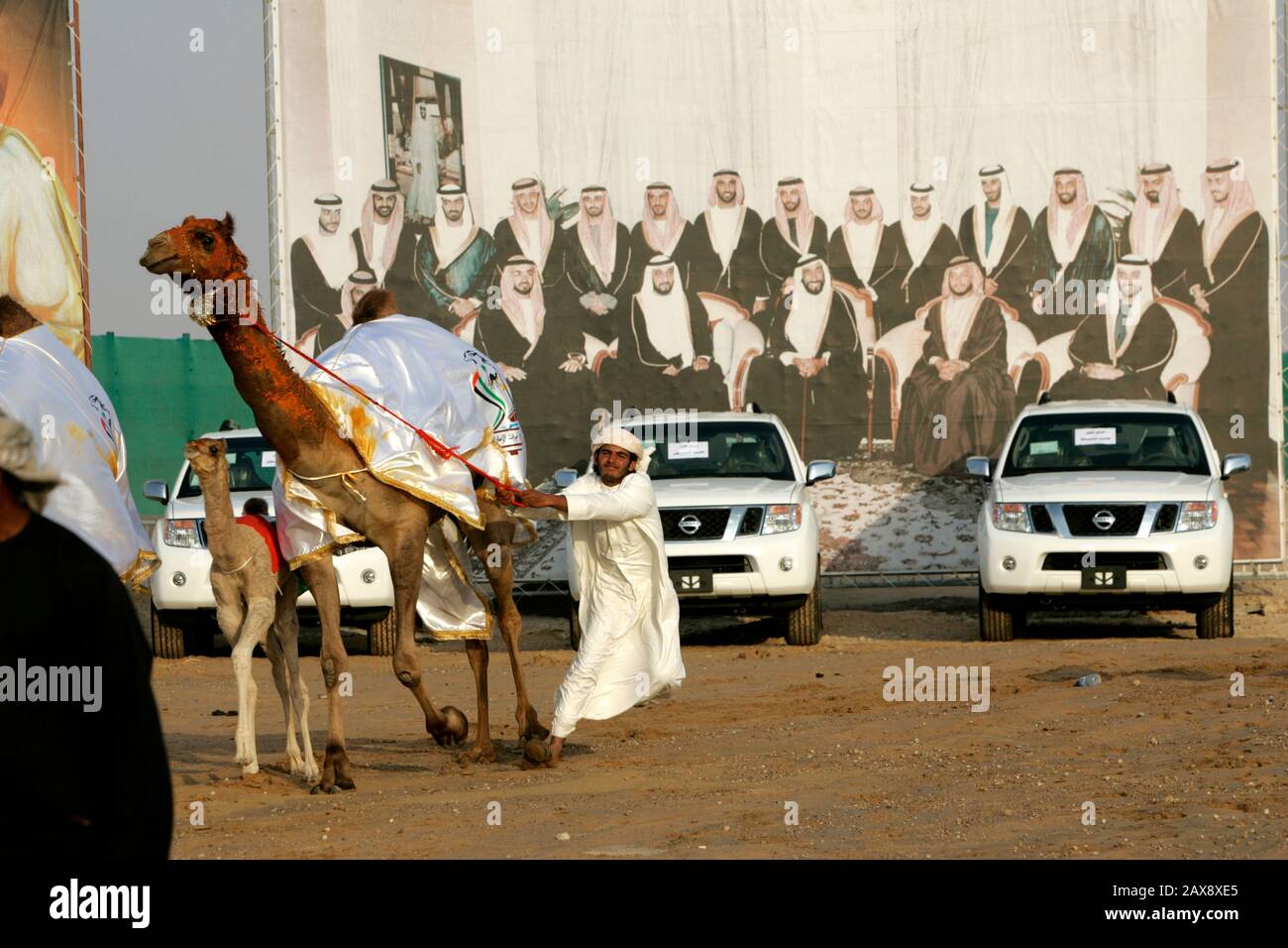 Camel display hi-res stock photography and images - Alamy