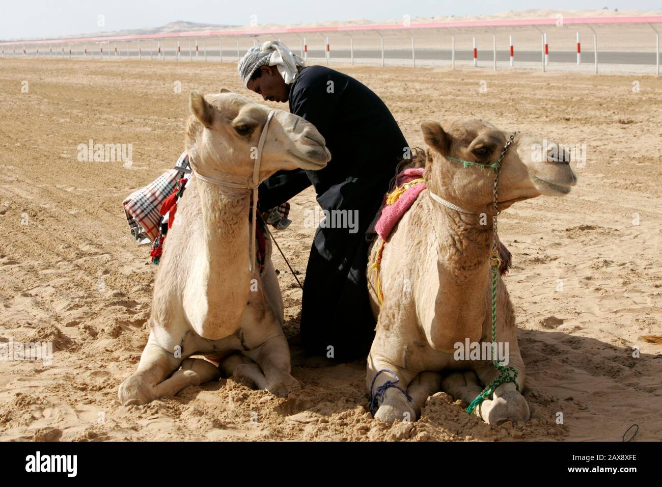 Sweihan hi-res stock photography and images - Alamy