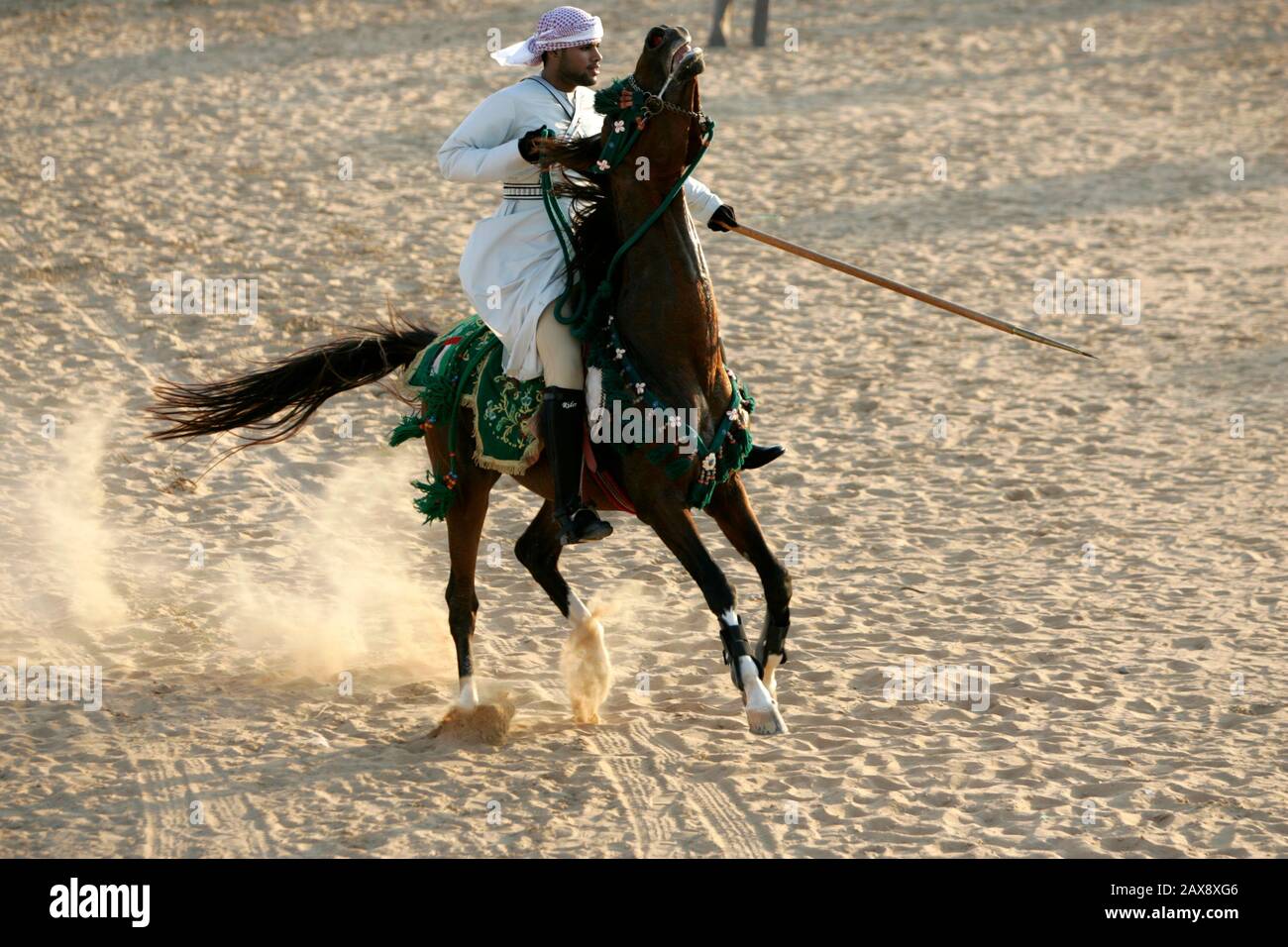 Traditional horse uae hi-res stock photography and images - Alamy