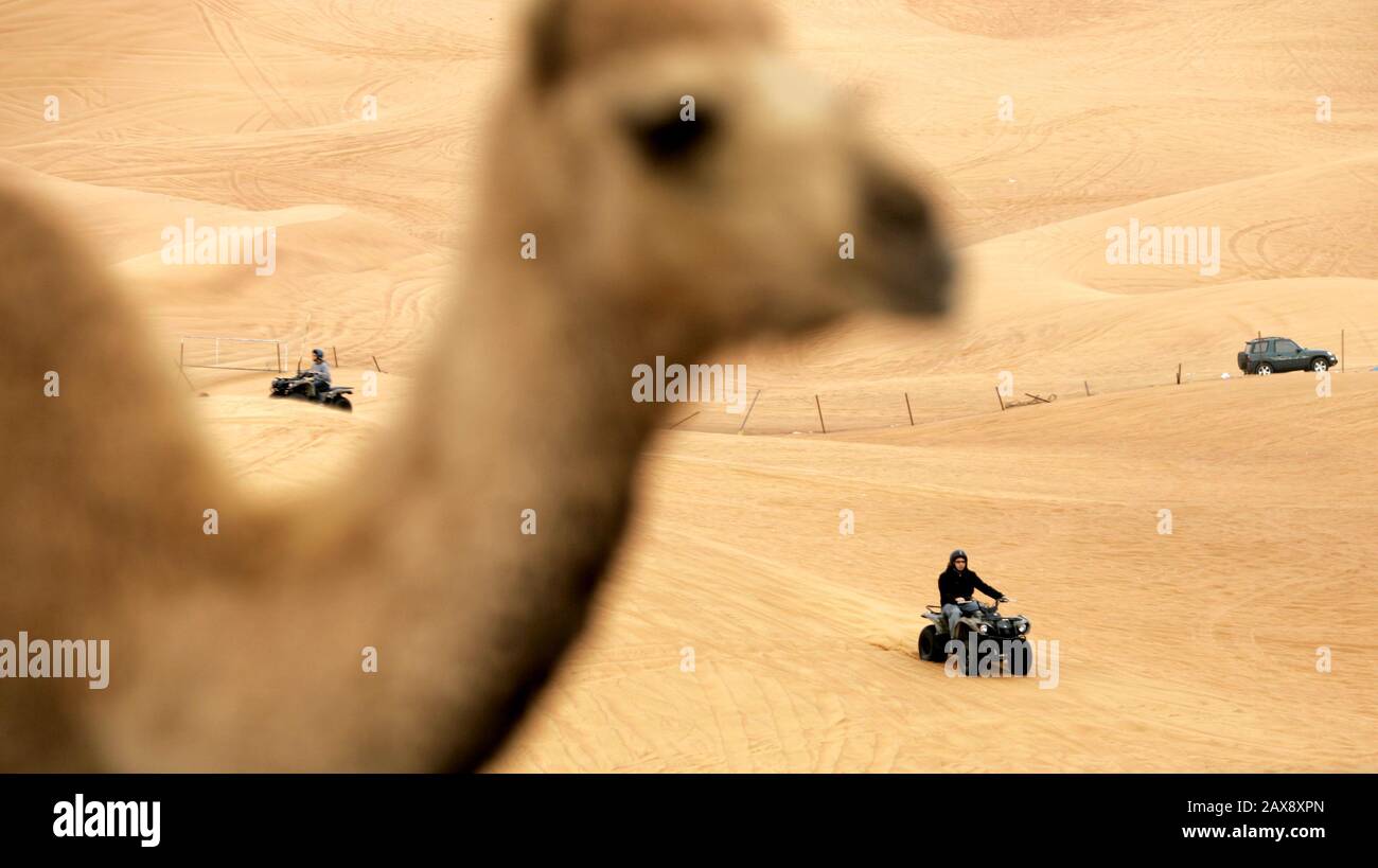 Camel car hi-res stock photography and images - Alamy