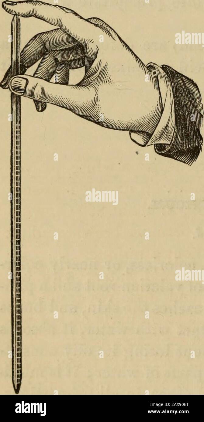 Graduated Pipette Drawing