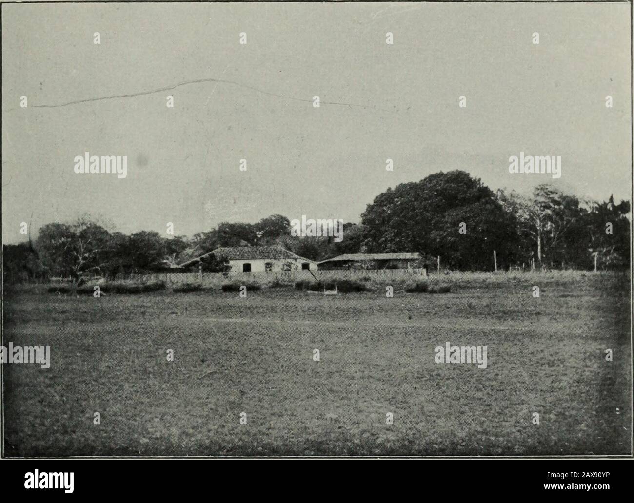 Annuel de penetration hi-res stock photography and images - Alamy