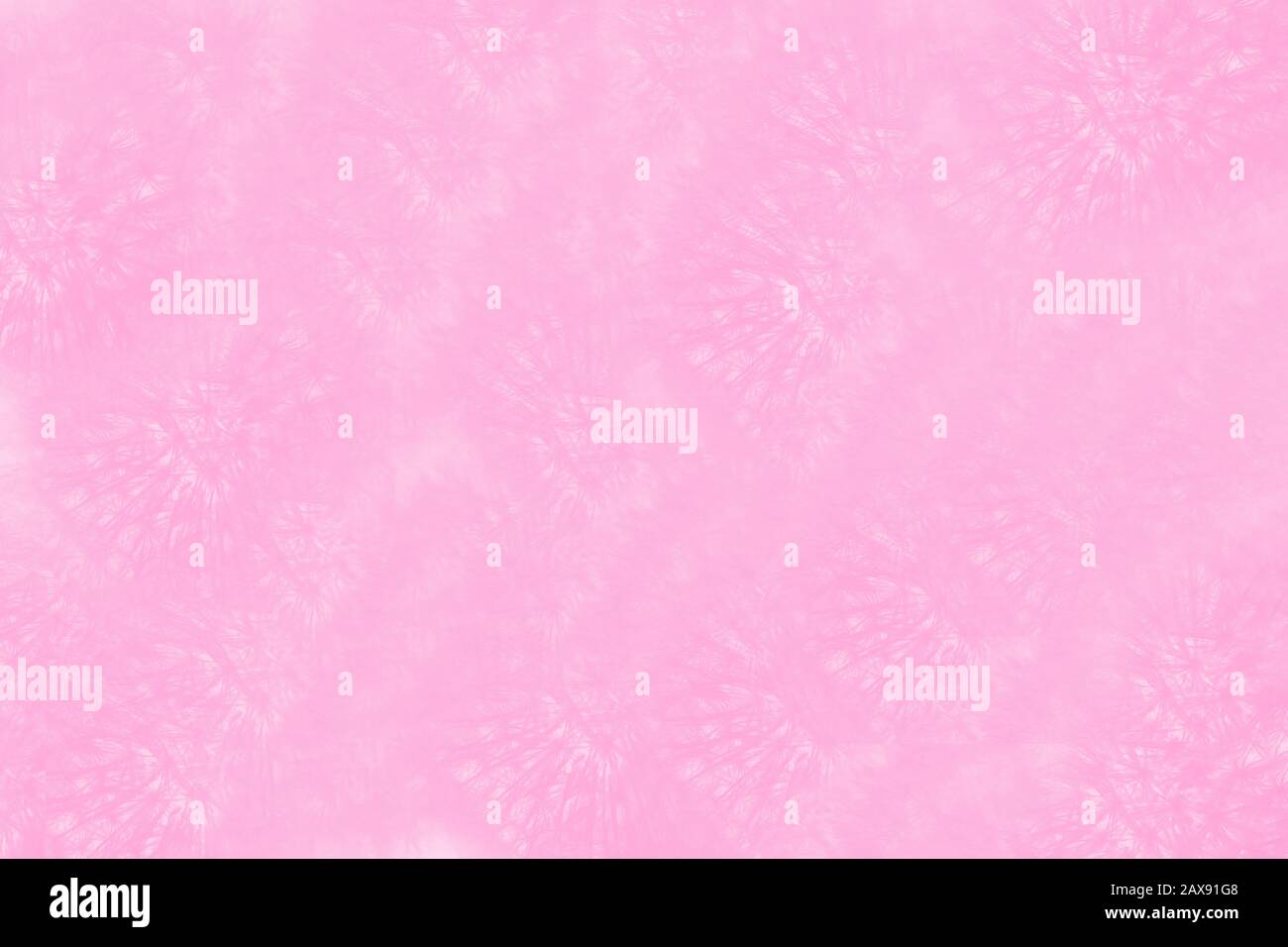 Pale pink gradient abstract background. Pastel. Dandelion pattern Stock ...
